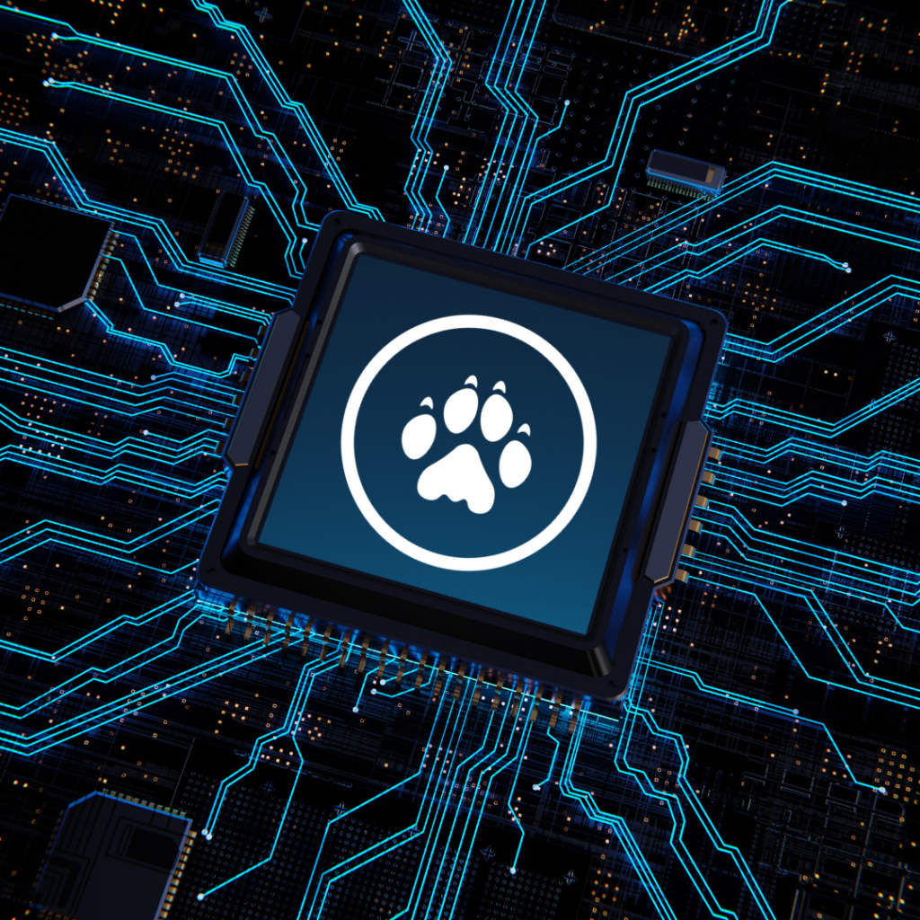 Managed Services | Finding the Right MSP